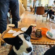 HELLO DARLING - 16 Photos - 1610 Little Raven St, Denver, CO - Yelp