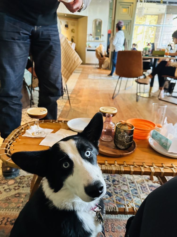 HELLO DARLING - 15 Photos - 1610 Little Raven St, Denver, CO - Yelp