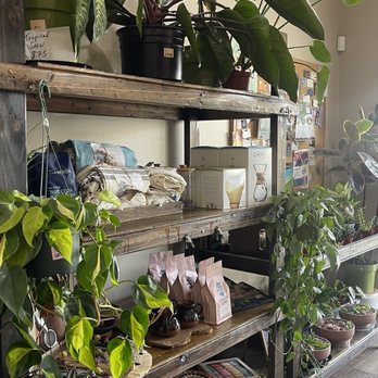 MUNDIAL COFFEE - Updated December 2024 - 456 Photos & 284 Reviews ...