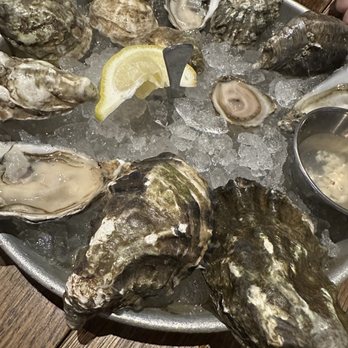 TAYLOR SHELLFISH FARMS - Updated February 2025 - 2951 Photos & 1411 ...