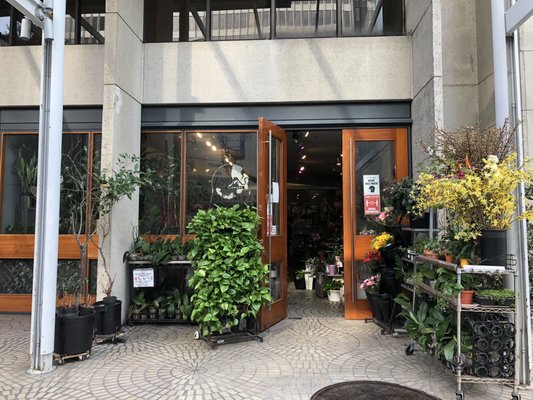 LYDIA’S FLOWERS - Updated July 2025 - 1001 Photos & 54 Reviews - 5 ...