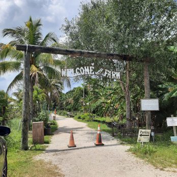 CRAZY DINGO BREWING - Updated September 2024 - 112 Photos & 52 Reviews ...