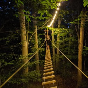 THE ADVENTURE PARK AT THE DISCOVERY MUSEUM - 58 Photos & 66 Reviews ...