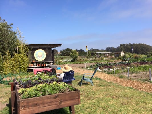 HOMELESS GARDEN PROJECT - Updated August 2025 - 10 Photos - 101 ...