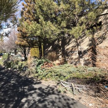 THE RESORT AT TANAMERA - Updated January 2026 - 69 Photos & 20 Reviews ...