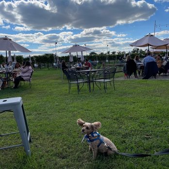 AUBURN ROAD VINEYARD AND WINERY - Updated December 2025 - 218 Photos ...