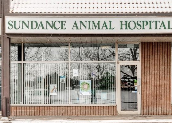 SUNDANCE ANIMAL HOSPITAL - Updated January 2026 - 14 Photos - 35 ...