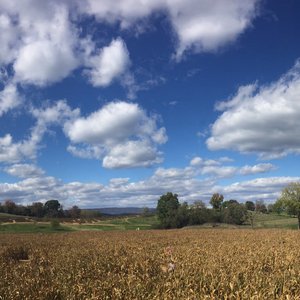 FAIRVIEW FUN FARM - Updated October 2025 - 316 Fairview Rd, Luray ...