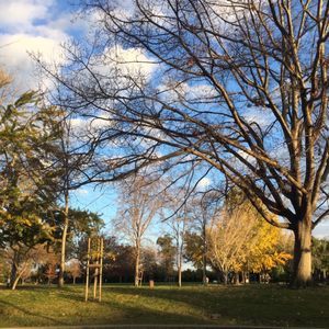 RINCONADA POOL - Updated June 2025 - 20 Photos & 103 Reviews - 777 ...