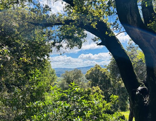 MT. BURDELL OPEN SPACE PRESERVE - Updated January 2026 - 167 Photos ...