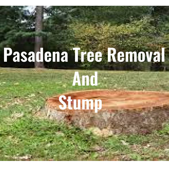 PASADENA TREE REMOVAL AND STUMP - Updated July 2024 - 263 Magothy ...