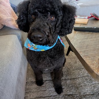 THE HUB BY PACK ANIMALS - Updated December 2025 - 42 Photos & 15 ...