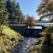 PROMISED LAND STATE PARK - 86 Photos & 37 Reviews - 100 Lower Lake Rd ...