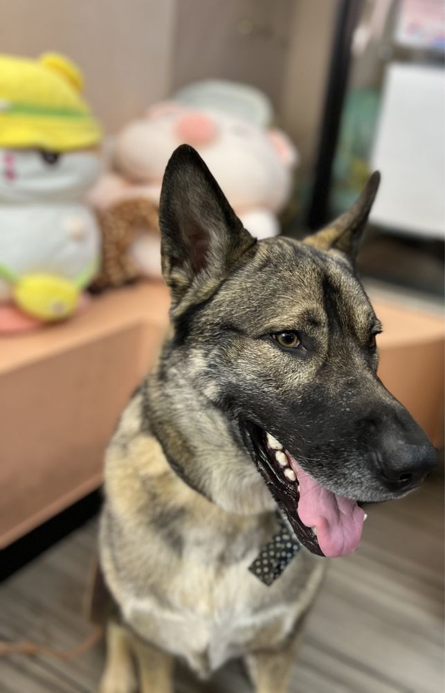 UME TEA - Updated November 2024 - 387 Photos & 215 Reviews - 421 ...