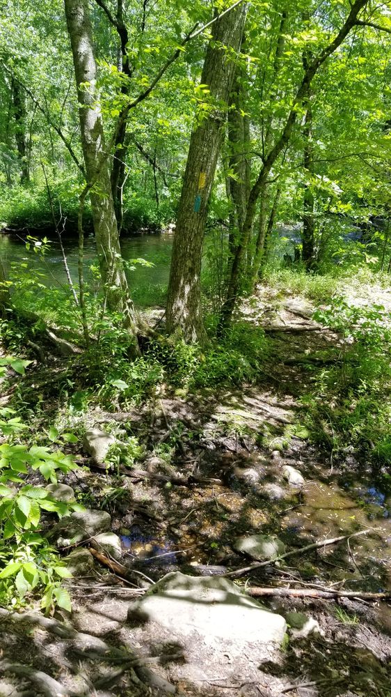 BEN UTTER TRAIL - 75 Photos & 13 Reviews - Exeter, RI - Yelp