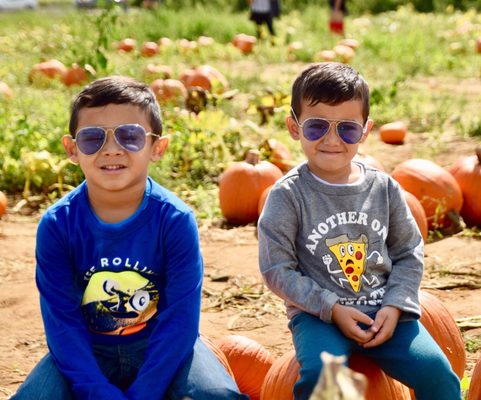 BATTLEVIEW ORCHARDS - 512 Photos & 216 Reviews - Pick Your Own Farms ...