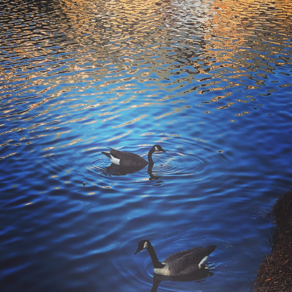 SMYRNA COMMUNITY CENTER - 33 Photos - Community Centers - 200 Village ...