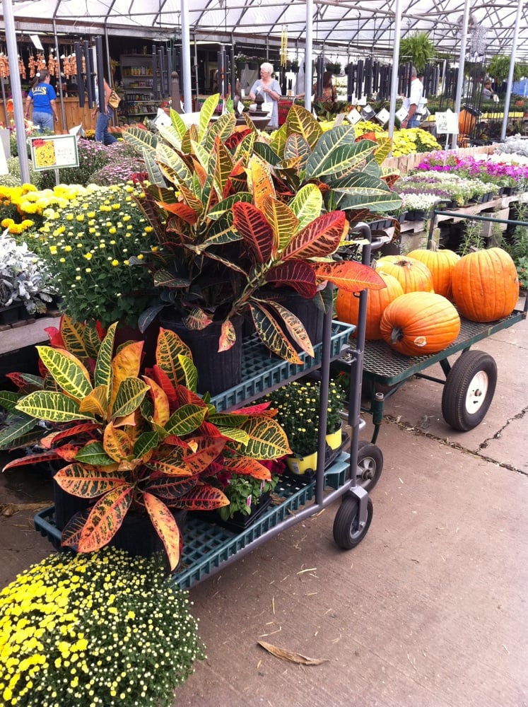 ELLIS POTTERY - Updated December 2025 - 3737 Calder Ave, Beaumont ...