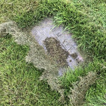 EVERGREEN WASHELLI FUNERAL HOME - Updated March 2025 - 50 Photos & 59 ...