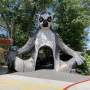 HOUSTON INTERACTIVE AQUARIUM AND ANIMAL ADVENTURE - 139 Photos & 63 ...