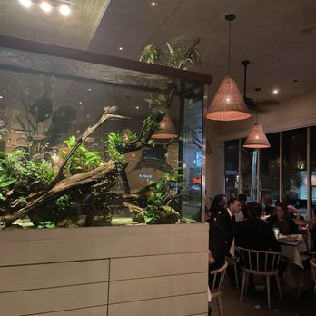 PERLA’S - Updated February 2025 - 2137 Photos & 2003 Reviews - 1400 S ...