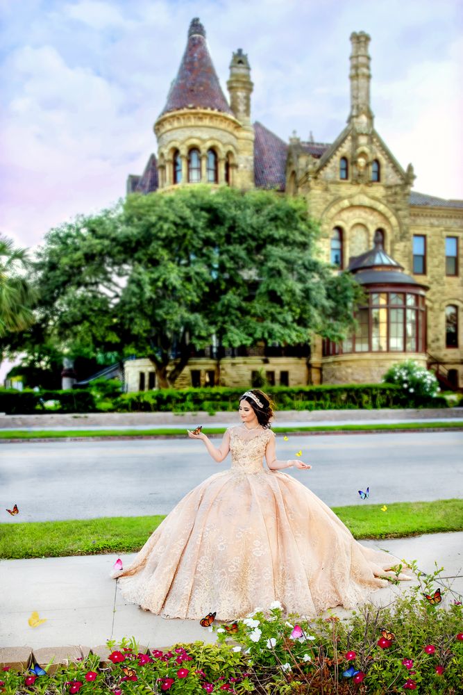 GLORIA RABON PHOTOGRAPHY - Updated January 2025 - 55 Photos - Hitchcock ...