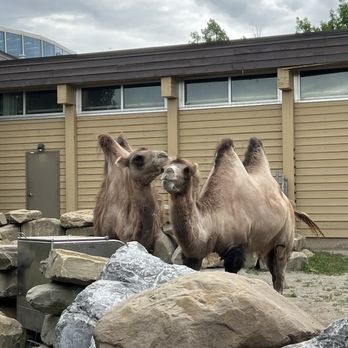 WILDER INSTITUTE CALGARY ZOO - Updated December 2025 - 663 Photos & 167 ...