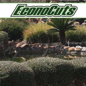 ABC PROFESSIONAL TREE SERVICES - Updated February 2025 - 10 Photos & 25 ...