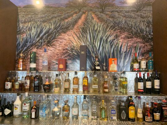 AGAVE AUTHENTIC MEXICAN GRILL - Updated June 2025 - 31 Photos & 14 ...