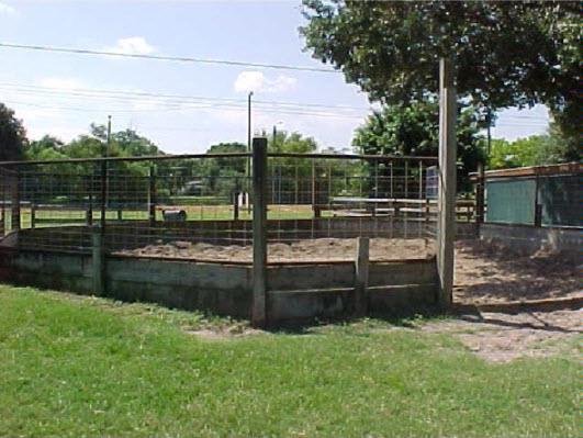 ANVIL ACRES STABLES - Updated October 2025 - 10505 60th St, Pinellas ...