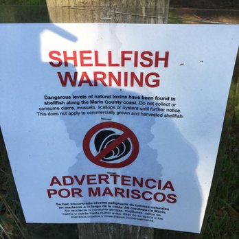 SHELL BEACH - Updated December 2025 - 35 Photos & 17 Reviews - Tomales ...