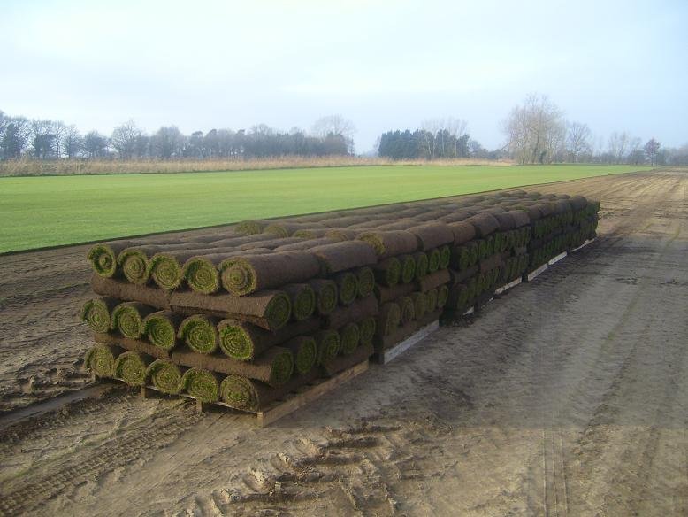 CAMBURY TURF - 17 Photos - 28 East Fen Common, Ely, Cambridgeshire ...