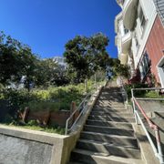 INA COOLBRITH PARK - 354 Photos & 89 Reviews - Taylor & Vallejo Streets ...