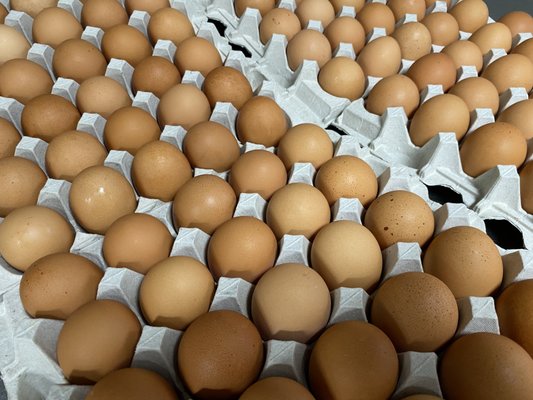 HUD’S - Updated December 2025 - 35 Photos & 44 Reviews - 7311 W ...