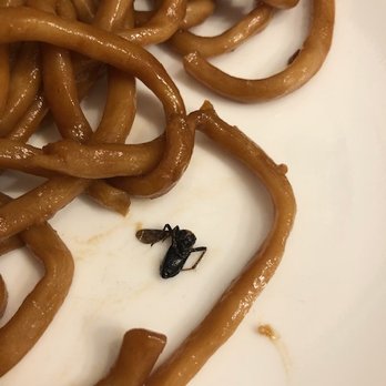 SINGAPORE SAM’S - Updated December 2025 - 31 Photos & 67 Reviews - 555 ...