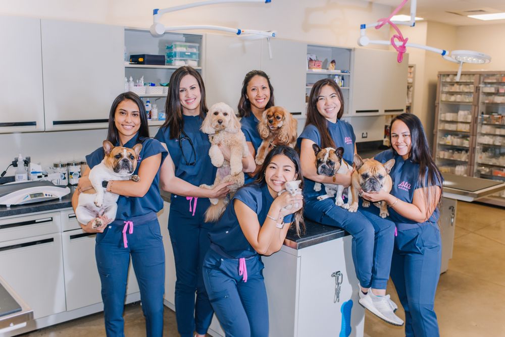 ALII ANIMAL KAHALA - Updated November 2024 - 55 Photos & 10 Reviews ...