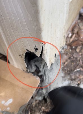 BERRETT PEST CONTROL - Updated January 2026 - 33 Photos & 202 Reviews ...