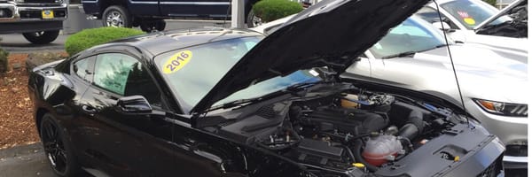 PIERRE FORD - Updated December 2025 - 48 Photos & 444 Reviews - 11525 ...