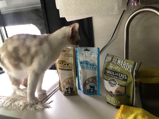 MINI PET MART - Updated October 2025 - 23 Reviews - 1609 Virginia Ave ...