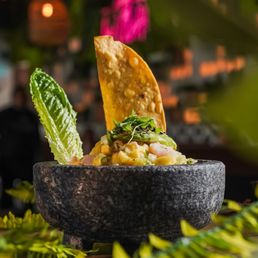 VIDA COCINA & TEQUILA - Updated July 2025 - 1403 Photos & 412 Reviews ...