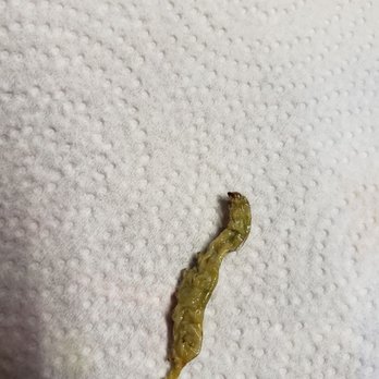 HAPPY DAY CHINESE RESTAURANT - Updated December 2025 - 16 Reviews - 631 ...