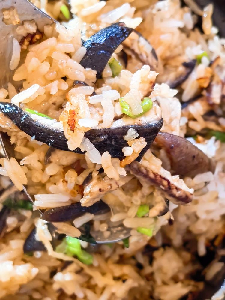 YUM YUM CAFE - Updated December 2024 - 132 Photos & 74 Reviews - 10850 ...