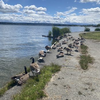 MATTHEWS BEACH PARK - Updated December 2025 - 90 Photos & 43 Reviews ...
