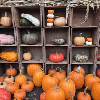 JONES FARM & COUNTRY STORE - Updated March 2025 - 269 Photos & 179 ...