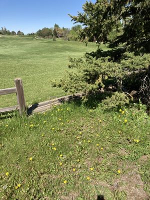 EAGLE TRACE GOLF CLUB - Updated June 2025 - 39 Photos & 47 Reviews ...