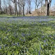 LOCK RIDGE PARK AND FURNACE - 65 Photos - Parks - 525 Franklin St ...