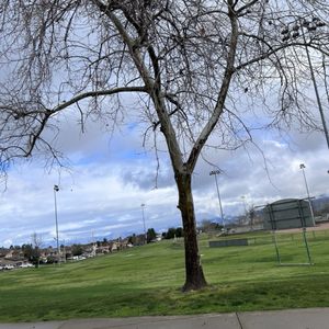 REID PARK - Updated June 2025 - 23 Photos & 12 Reviews - 800 N Orange ...