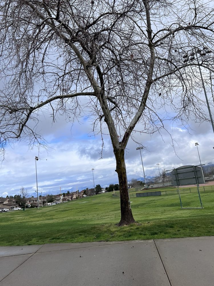 ORANGE TERRACE PARK - Updated December 2025 - 18 Photos & 12 Reviews ...