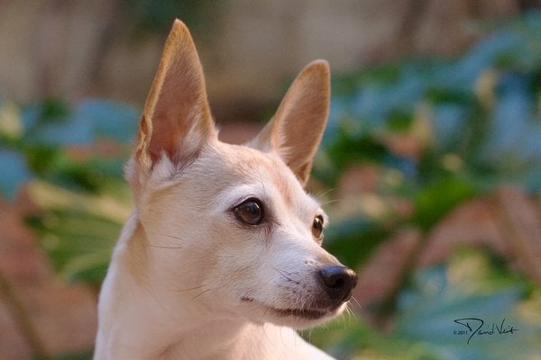 DAVID VEIT PHOTOGRAPHY - Updated September 2024 - 17 Reviews - 8674 ...