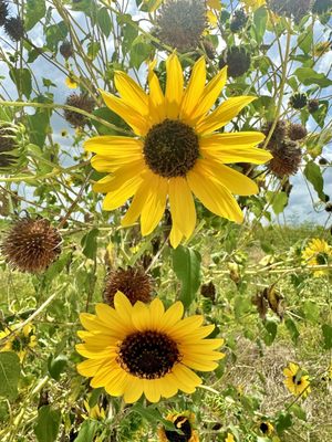 FORT BEND COUNTY LIBRARY FULSHEAR BRANCH - Updated October 2025 - 25 ...